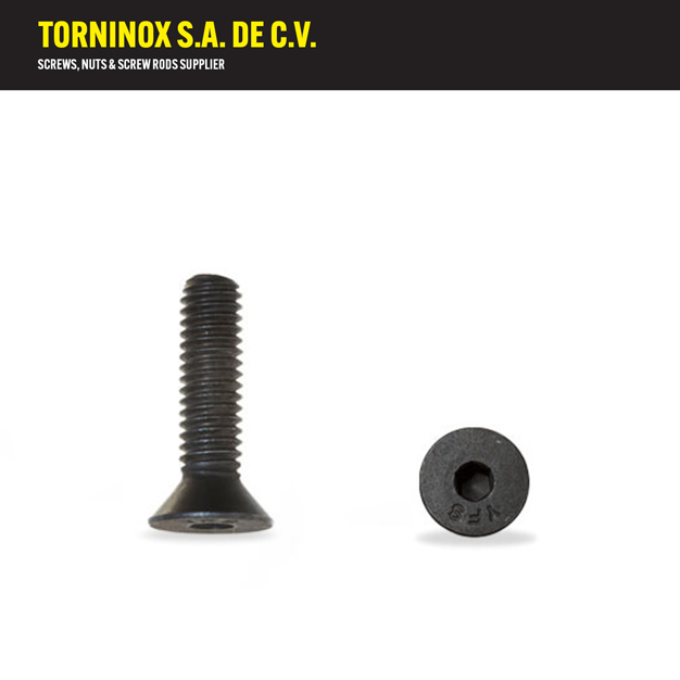 AP08102 TOR ALLEN PLANA 5/16 X 4 | Torninox